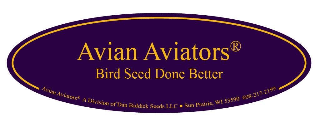 Avian Aviators | Bird Seed Done Better